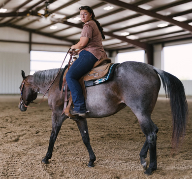 Horse Terminology: Walk, Trot, Jog, Lope, and Canter Explained – Katie ...