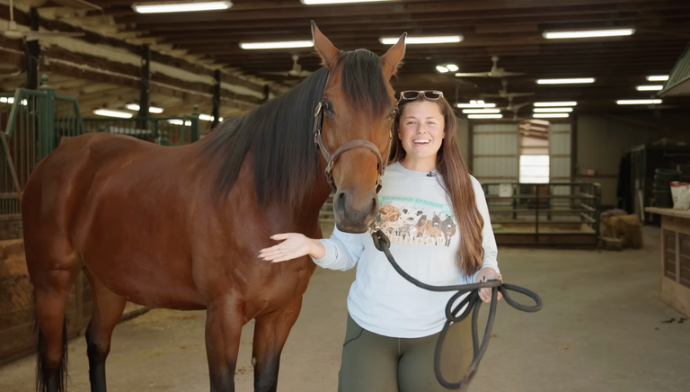 Horse Breeding Terms You Need To Know – Katie Van Slyke