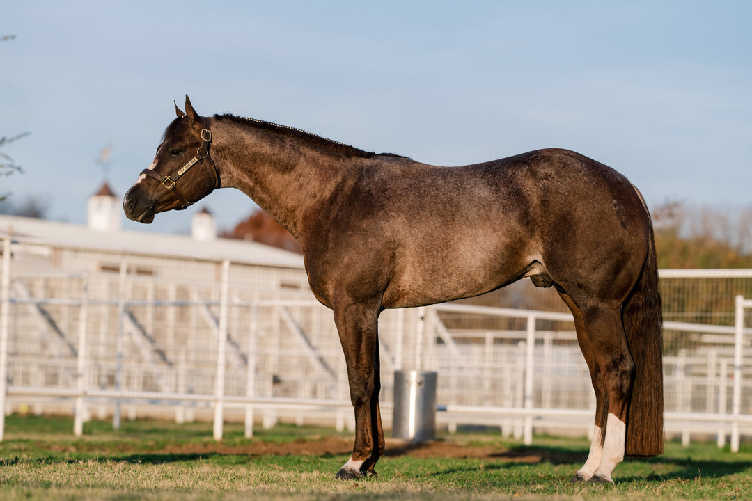 First Thingz First – Katie Van Slyke